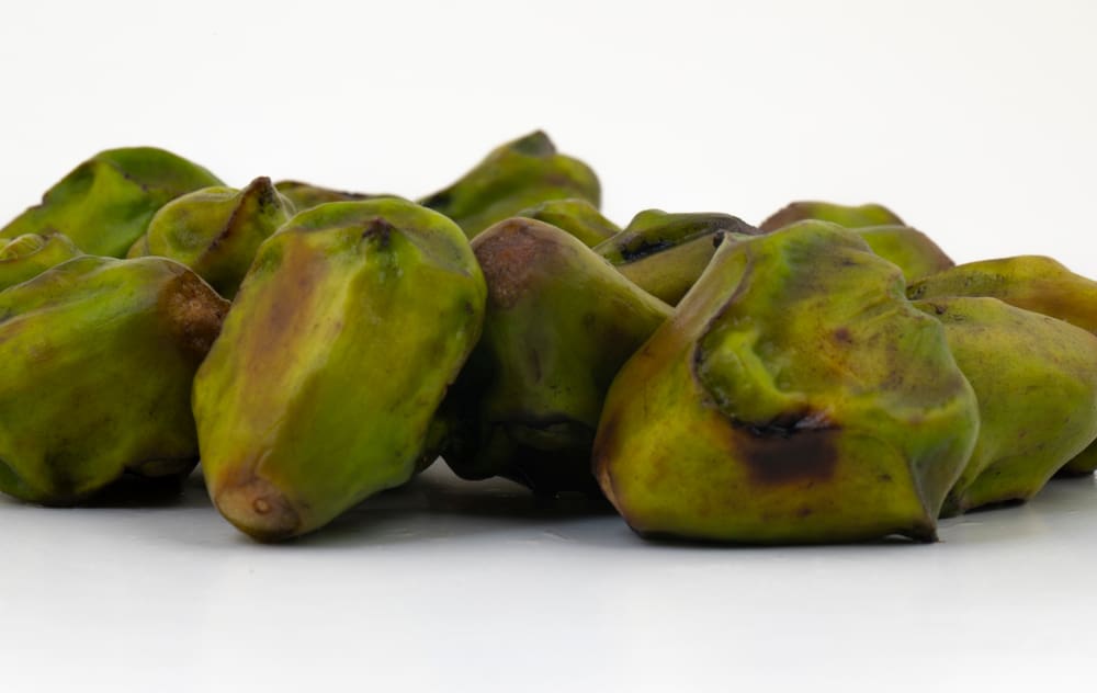 सिंघाड़ा के फायदे एवं नुकसान – Health Benefits of Singhara (Water ...