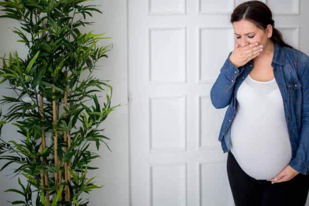 Sense of smell during pregnancy: प्रेग्नेंसी में स्मेल सेंस के बारे में ...